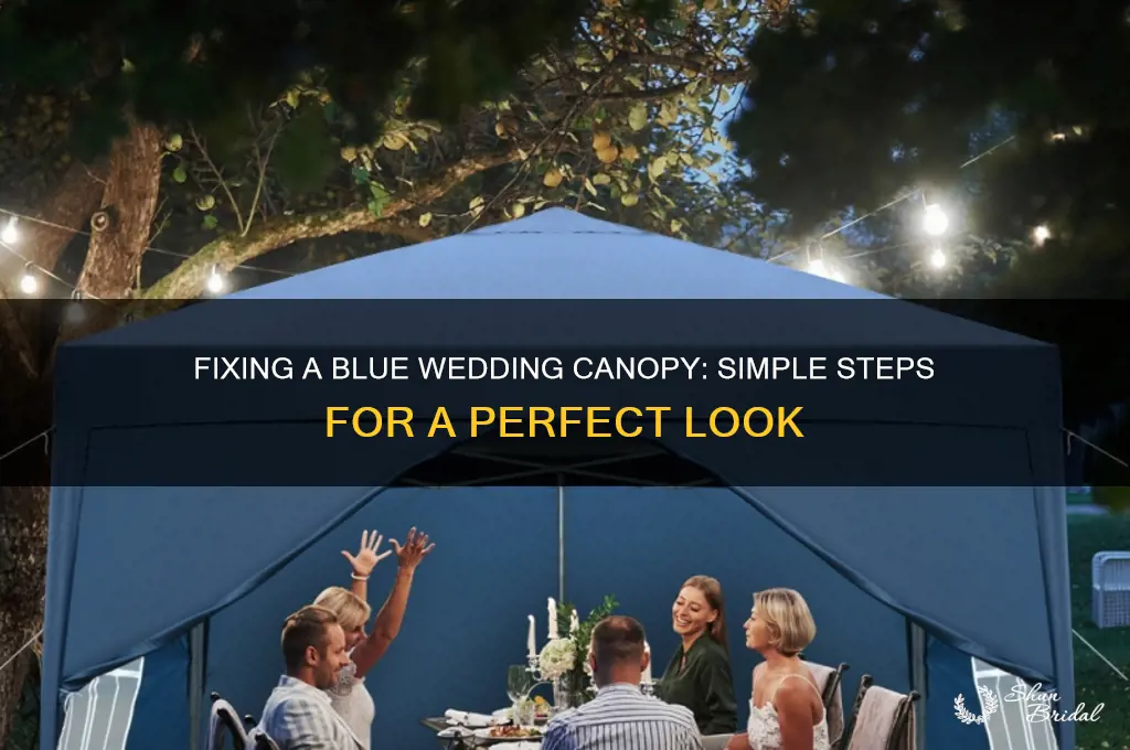 Fixing A Blue Wedding Canopy: Simple Steps For A Perfect Look | ShunBridal