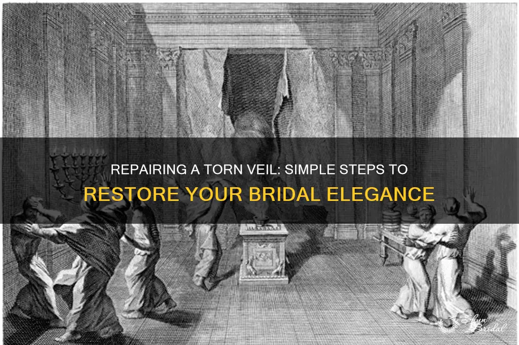 Repairing A Torn Veil: Simple Steps To Restore Your Bridal Elegance ...