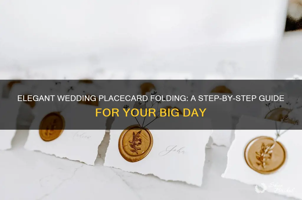 Elegant Wedding Placecard Folding: A Step-By-Step Guide For Your Big ...