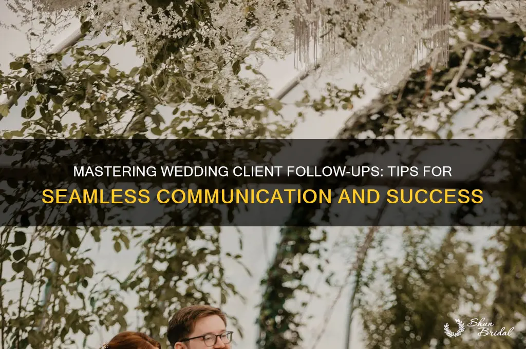 Mastering Wedding Client Follow-Ups: Tips For Seamless Communication ...