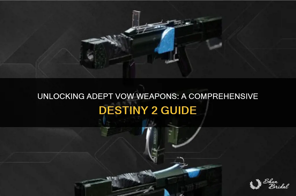 Unlocking Adept Vow Weapons: A Comprehensive Destiny 2 Guide | ShunBridal