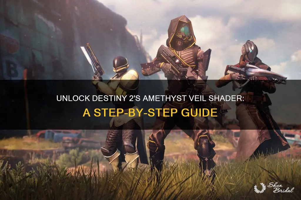 Unlock Destiny 2'S Amethyst Veil Shader: A Step-By-Step Guide | ShunBridal