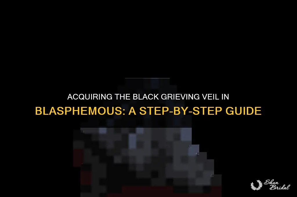 Acquiring The Black Grieving Veil In Blasphemous: A Step-By-Step Guide ...