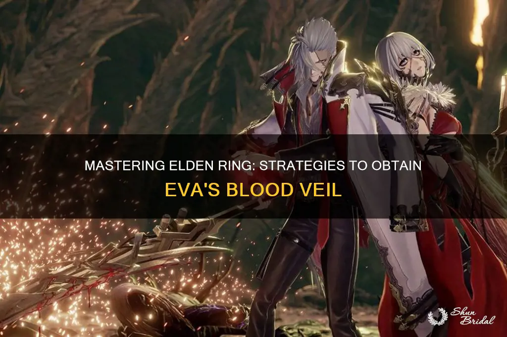 Mastering Elden Ring: Strategies To Obtain Eva's Blood Veil | ShunBridal