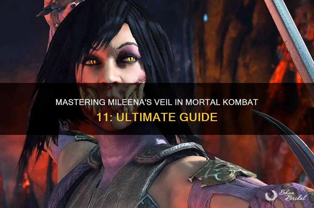 Mastering Mileena's Veil In Mortal Kombat 11: Ultimate Guide | ShunBridal