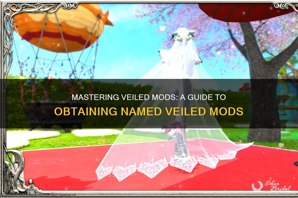 Mastering Veiled Mods: A Guide To Obtaining Named Veiled Mods | ShunBridal