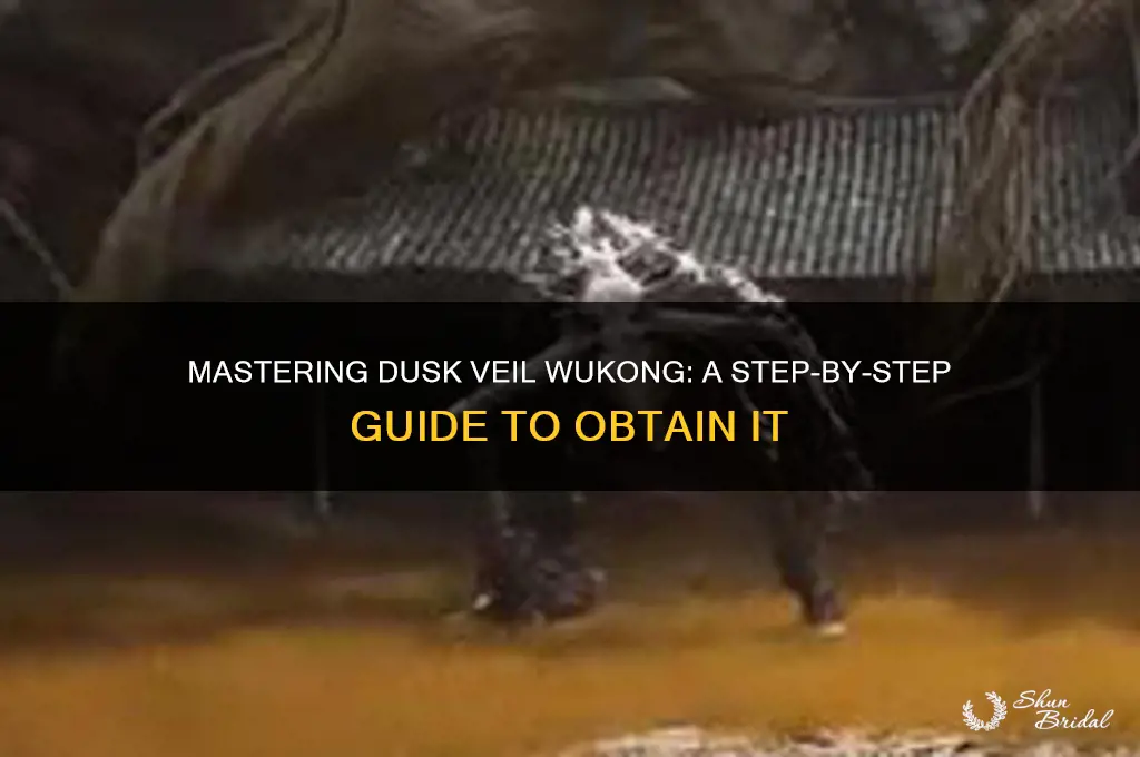 Mastering Dusk Veil Wukong: A Step-By-Step Guide To Obtain It | ShunBridal
