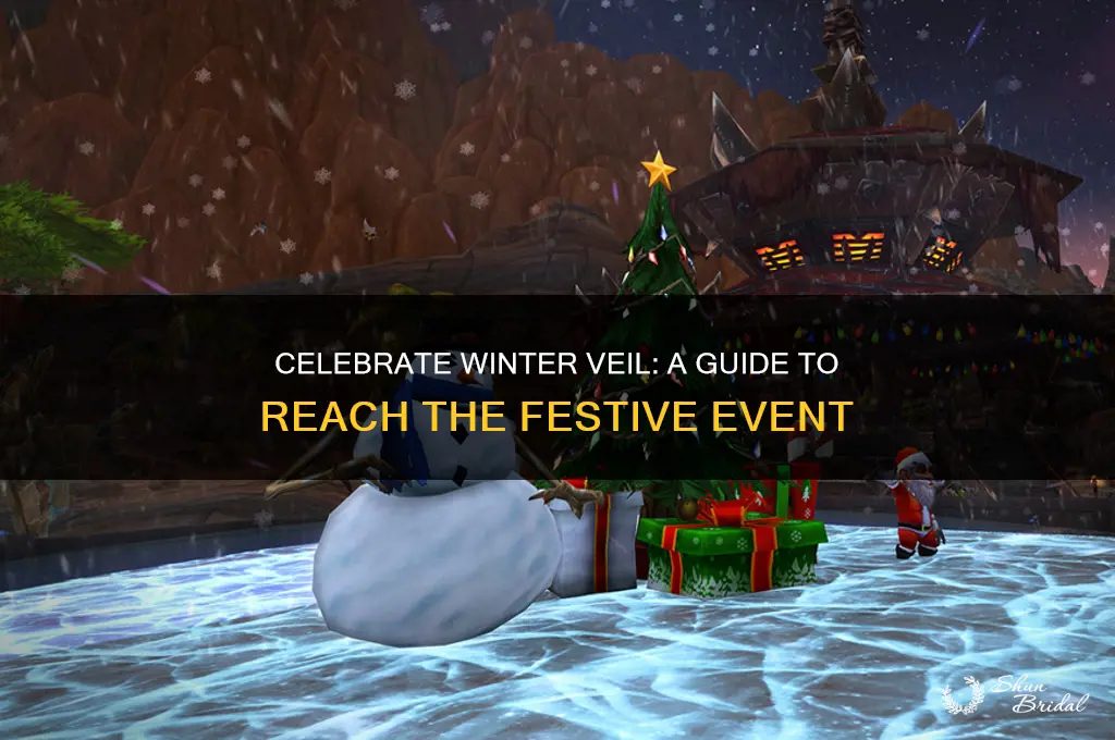 Celebrate Winter Veil: A Guide To Reach The Festive Event | ShunBridal