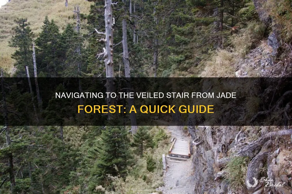 Navigating To The Veiled Stair From Jade Forest: A Quick Guide | ShunBridal