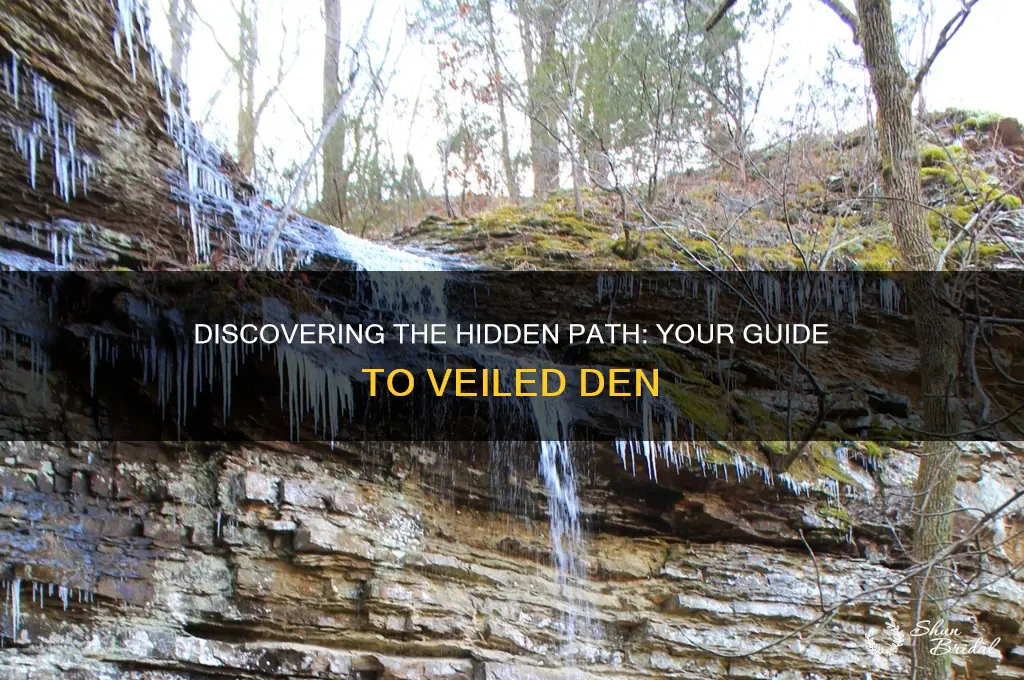 Discovering The Hidden Path: Your Guide To Veiled Den | ShunBridal