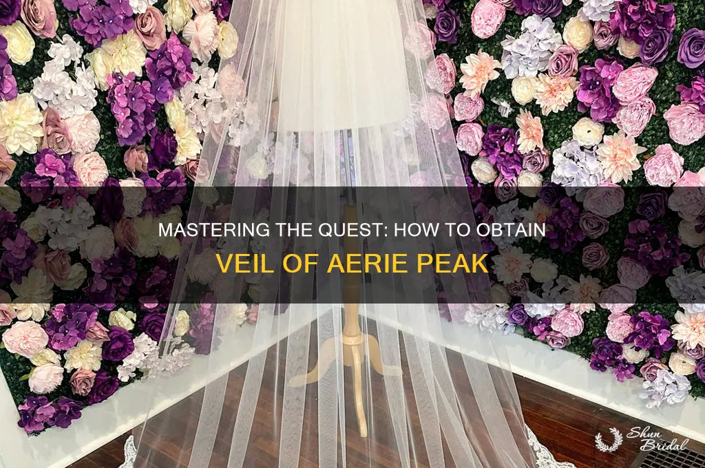 Mastering The Quest: How To Obtain Veil Of Aerie Peak | ShunBridal
