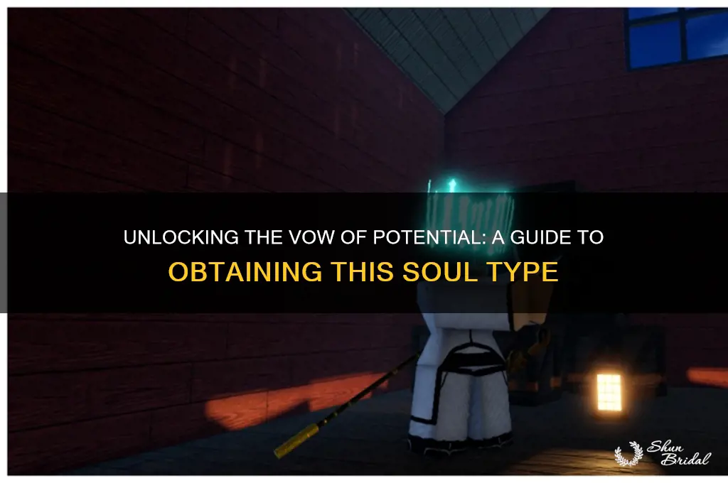 Unlocking The Vow Of Potential: A Guide To Obtaining This Soul Type ...