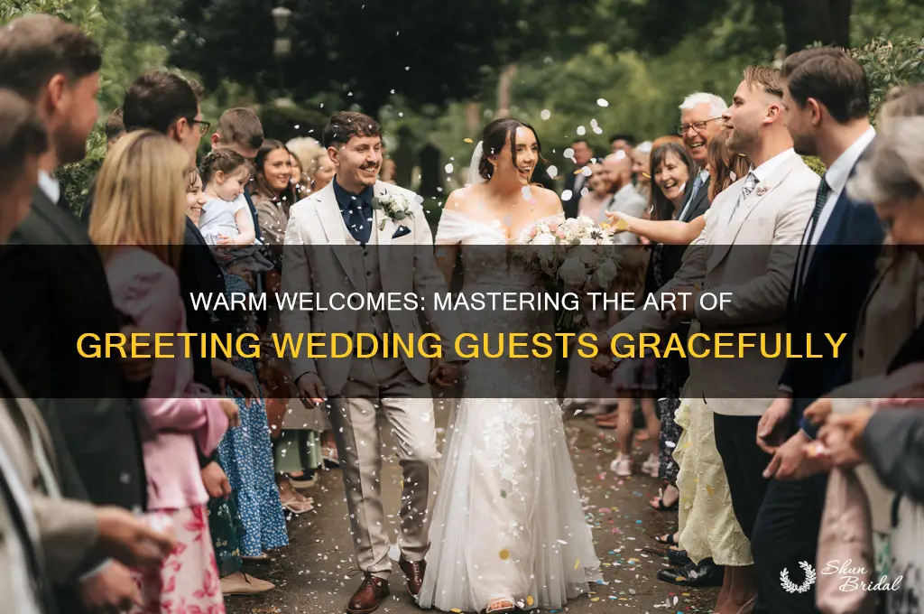 Warm Welcomes: Mastering The Art Of Greeting Wedding Guests Gracefully ...