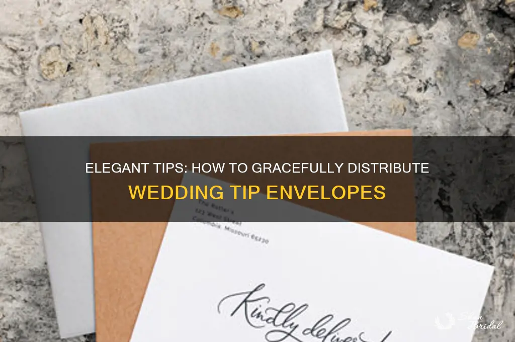 Elegant Tips: How To Gracefully Distribute Wedding Tip Envelopes ...