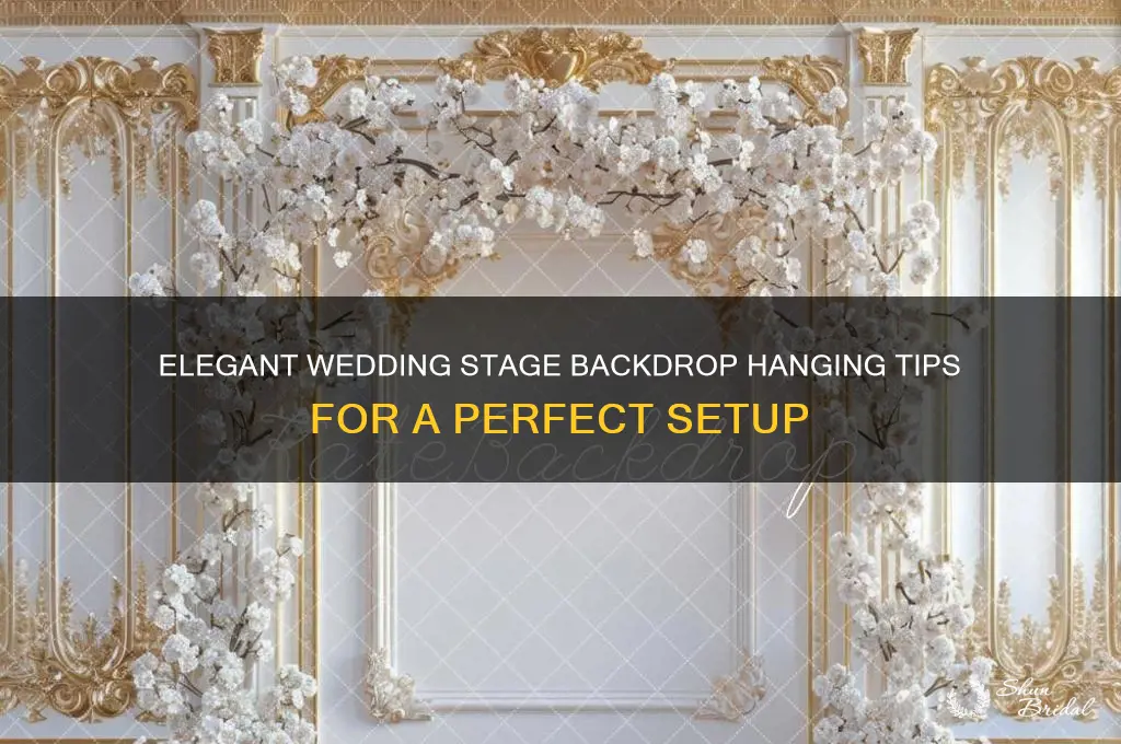 Elegant Wedding Stage Backdrop Hanging Tips For A Perfect Setup ...