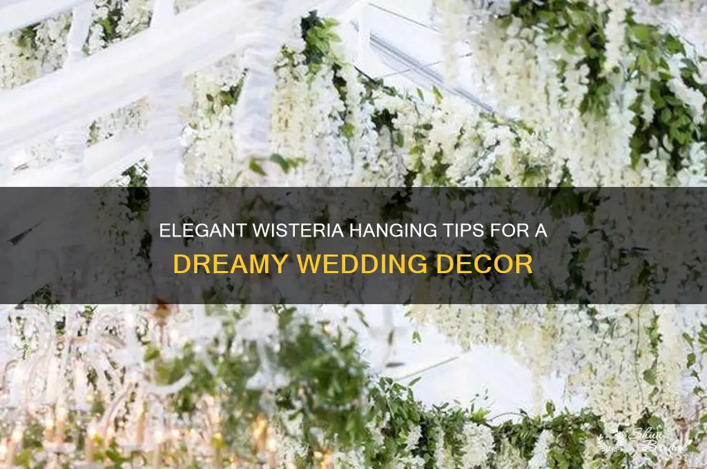 Elegant Wisteria Hanging Tips For A Dreamy Wedding Decor | ShunBridal