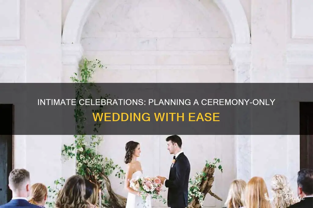 Intimate Celebrations: Planning A Ceremony-Only Wedding With Ease ...