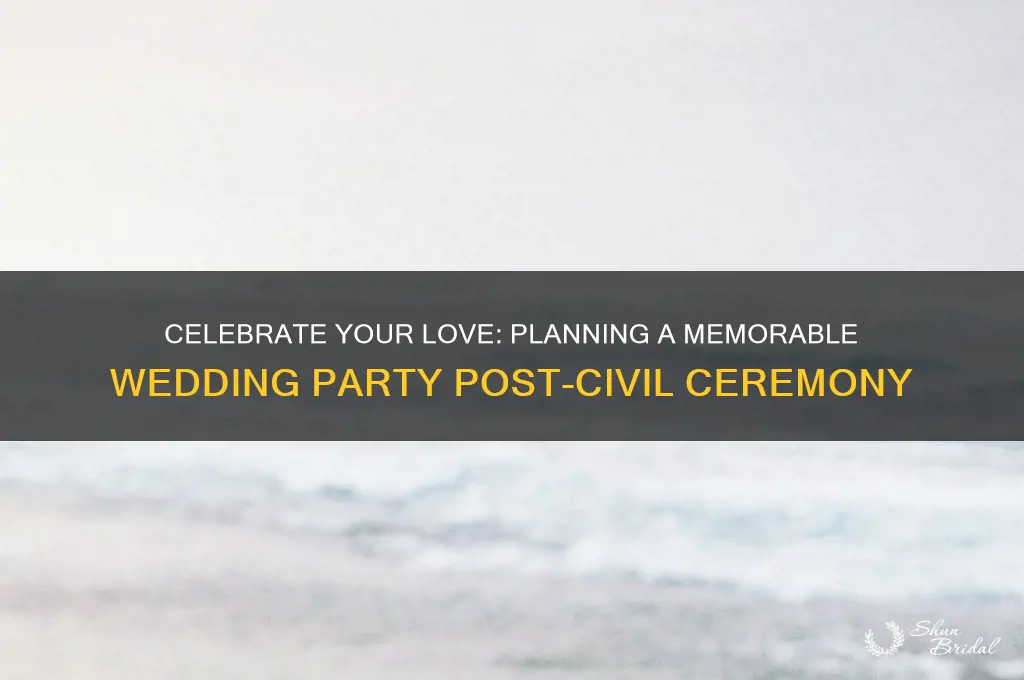 Celebrate Your Love: Planning A Memorable Wedding Party Post-Civil ...