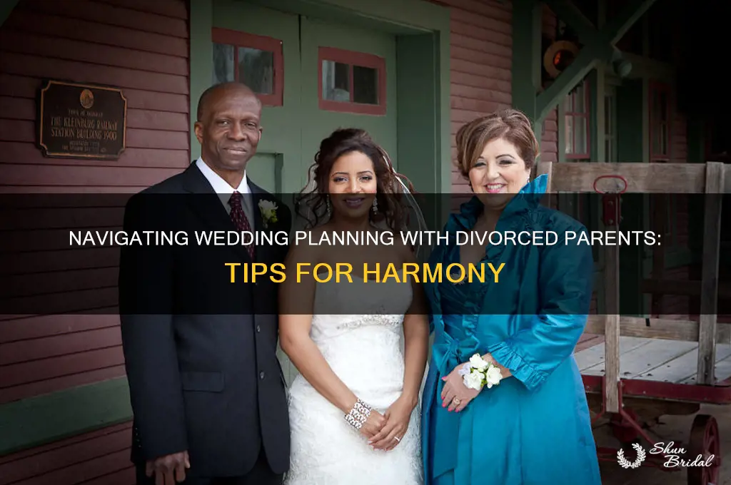 Navigating Wedding Planning With Divorced Parents: Tips For Harmony ...