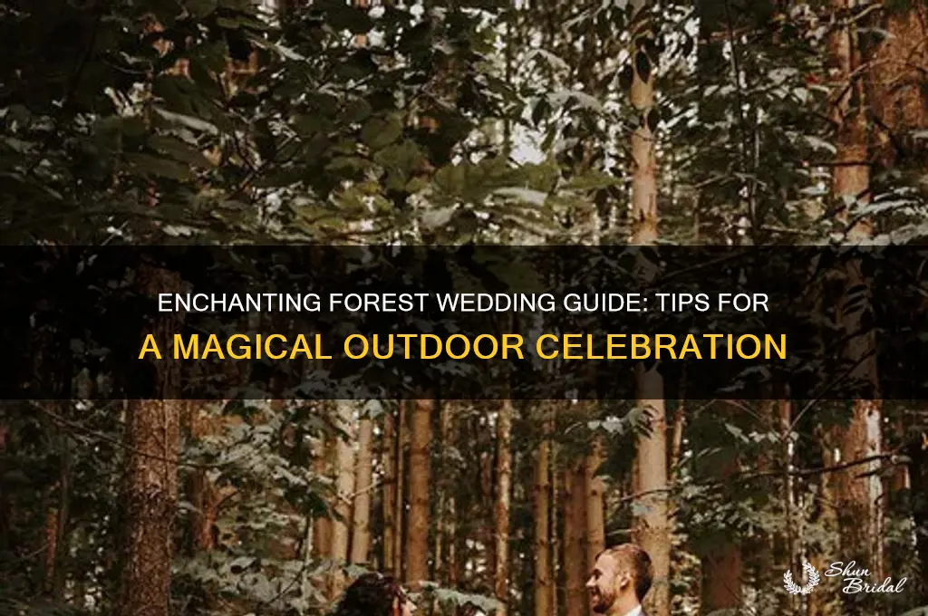 Enchanting Forest Wedding Guide: Tips For A Magical Outdoor Celebration ...