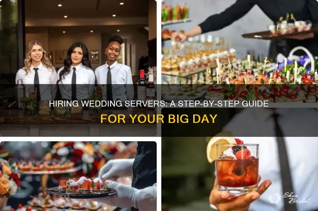 Hiring Wedding Servers: A Step-By-Step Guide For Your Big Day | ShunBridal