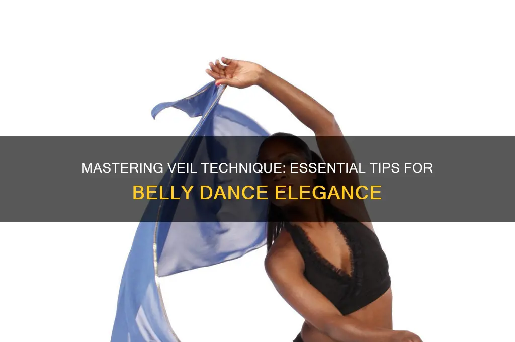 Mastering Veil Technique: Essential Tips For Belly Dance Elegance ...