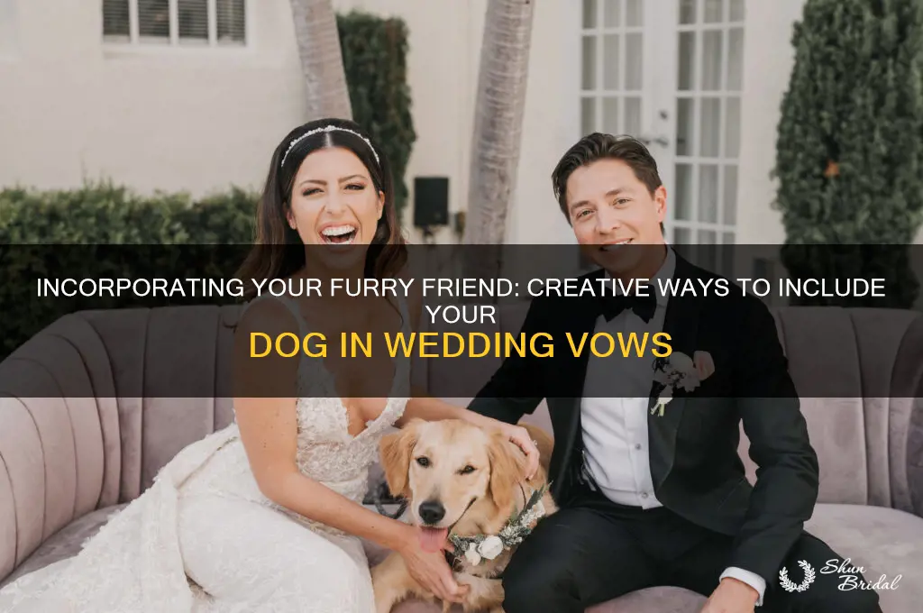 Incorporating Your Furry Friend: Creative Ways To Include Your Dog In ...