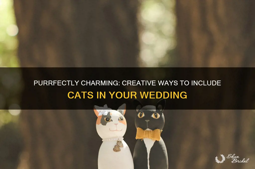 Purrfectly Charming: Creative Ways To Include Cats In Your Wedding ...