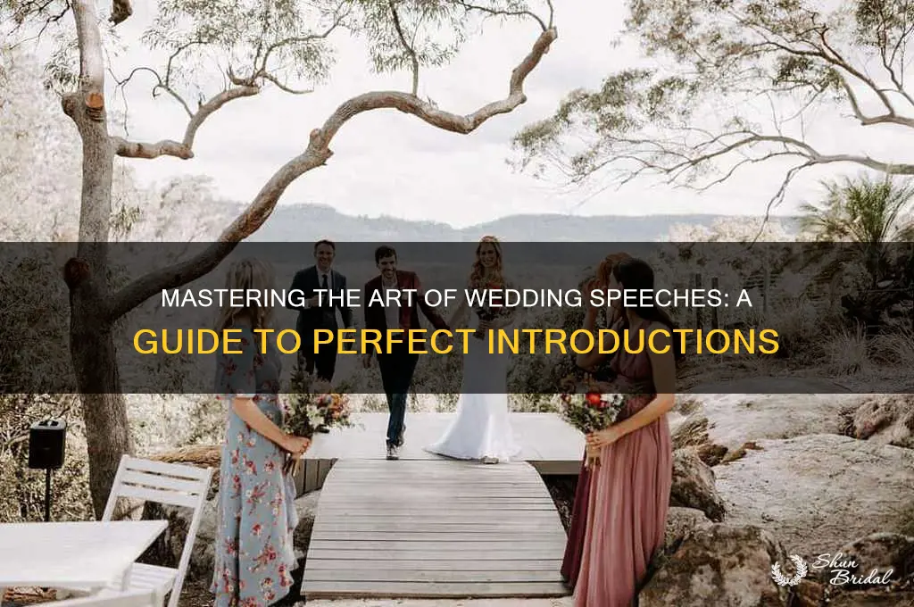 Mastering The Art Of Wedding Speeches: A Guide To Perfect Introductions ...