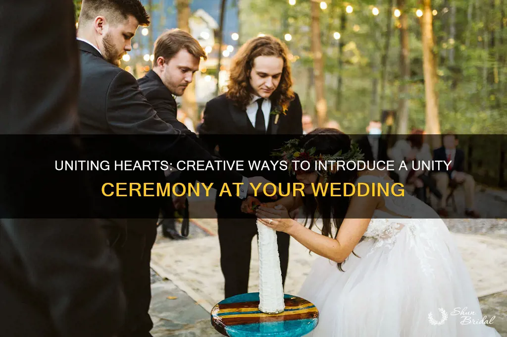 Uniting Hearts: Creative Ways To Introduce A Unity Ceremony At Your ...