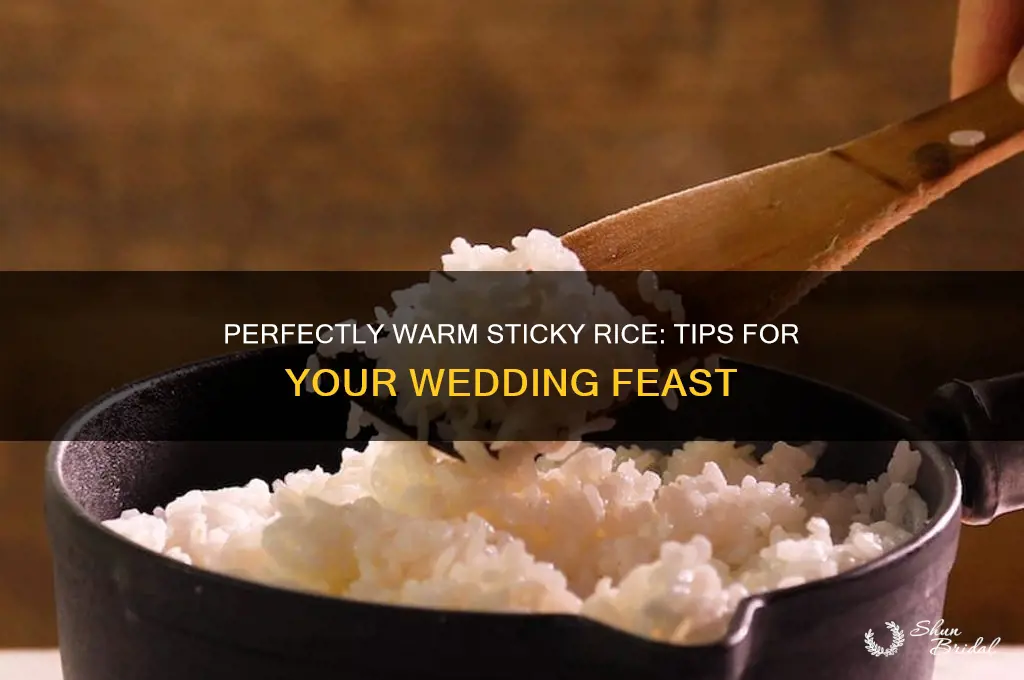 Perfectly Warm Sticky Rice: Tips For Your Wedding Feast | ShunBridal