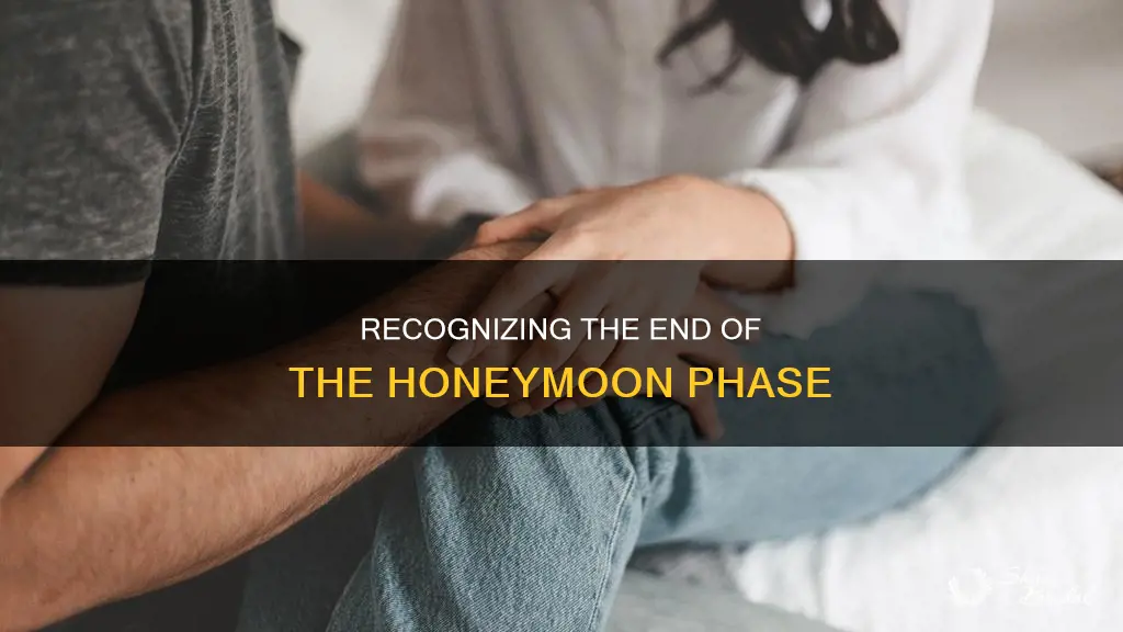 Recognizing The End Of The Honeymoon Phase | ShunBridal