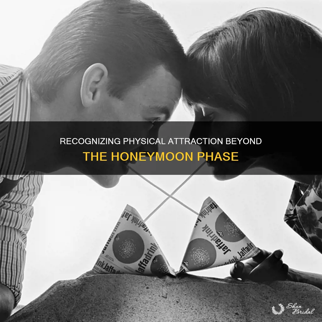 Recognizing Physical Attraction Beyond The Honeymoon Phase | ShunBridal