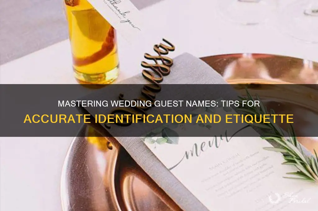 Mastering Wedding Guest Names: Tips For Accurate Identification And ...
