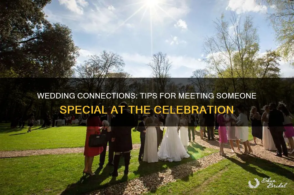 Wedding Connections: Tips For Meeting Someone Special At The ...