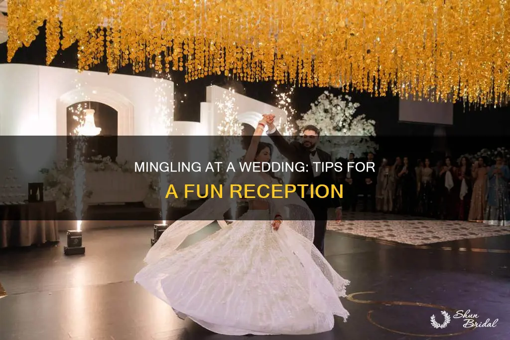 Mingling At A Wedding: Tips For A Fun Reception | ShunBridal