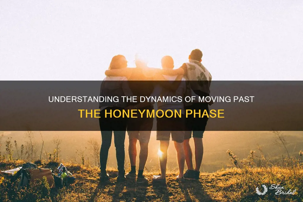 Understanding The Dynamics Of Moving Past The Honeymoon Phase | ShunBridal