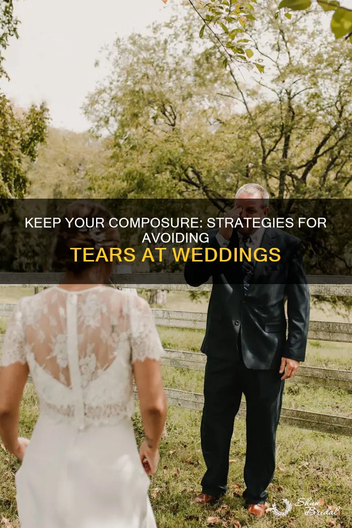 Keep Your Composure: Strategies For Avoiding Tears At Weddings | ShunBridal