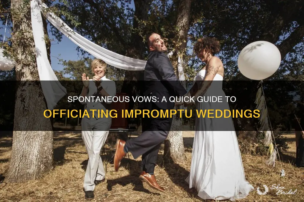 Spontaneous Vows: A Quick Guide To Officiating Impromptu Weddings ...