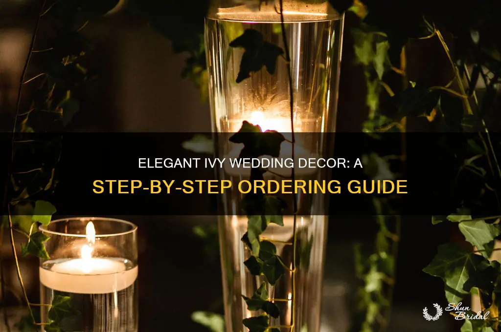 Elegant Ivy Wedding Decor: A Step-By-Step Ordering Guide | ShunBridal