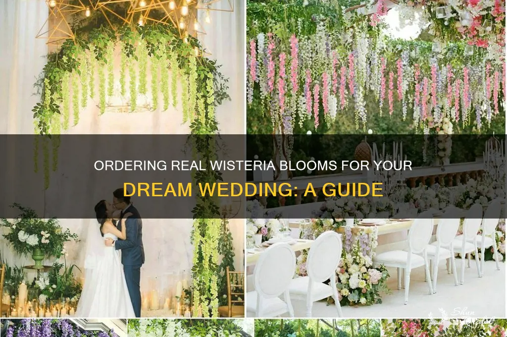 Ordering Real Wisteria Blooms For Your Dream Wedding: A Guide | ShunBridal