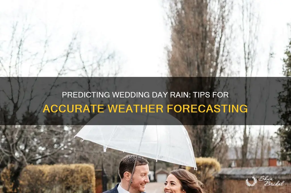 Predicting Wedding Day Rain: Tips For Accurate Weather Forecasting ...