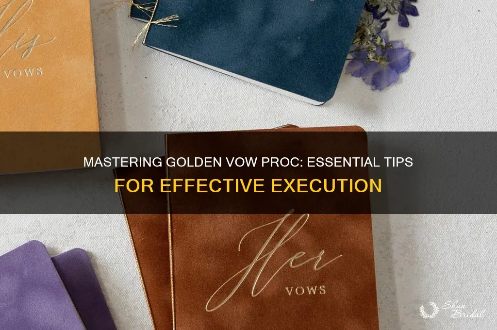 Mastering Golden Vow Proc: Essential Tips For Effective Execution ...