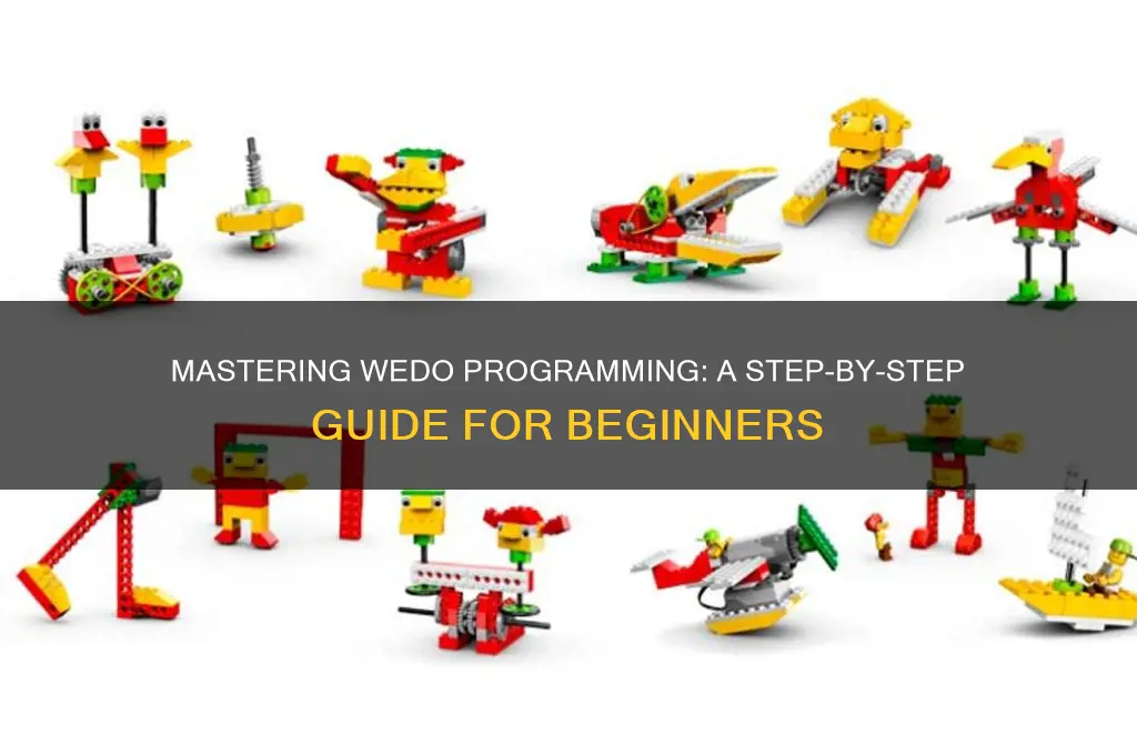 Mastering Wedo Programming: A Step-By-Step Guide For Beginners | ShunBridal