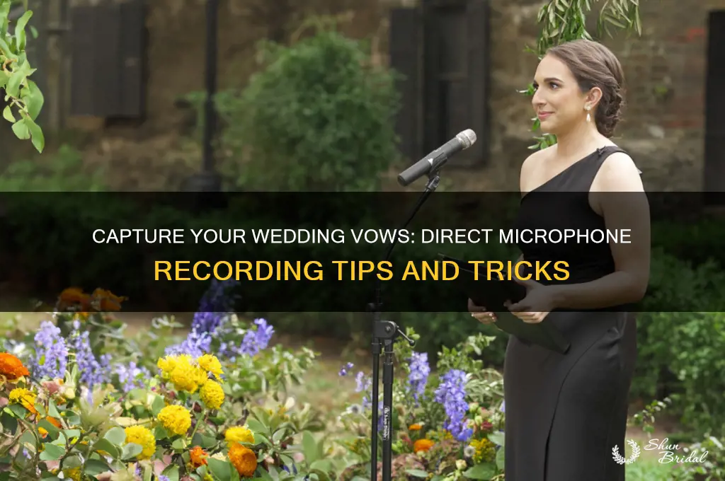 Capture Your Wedding Vows: Direct Microphone Recording Tips And Tricks ...