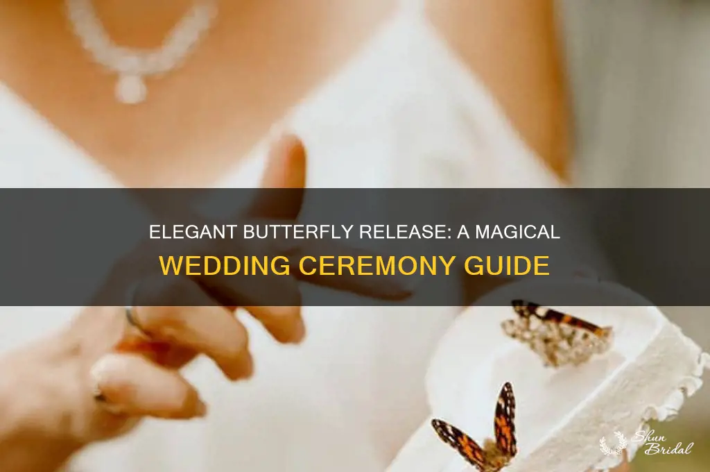 Elegant Butterfly Release: A Magical Wedding Ceremony Guide | ShunBridal