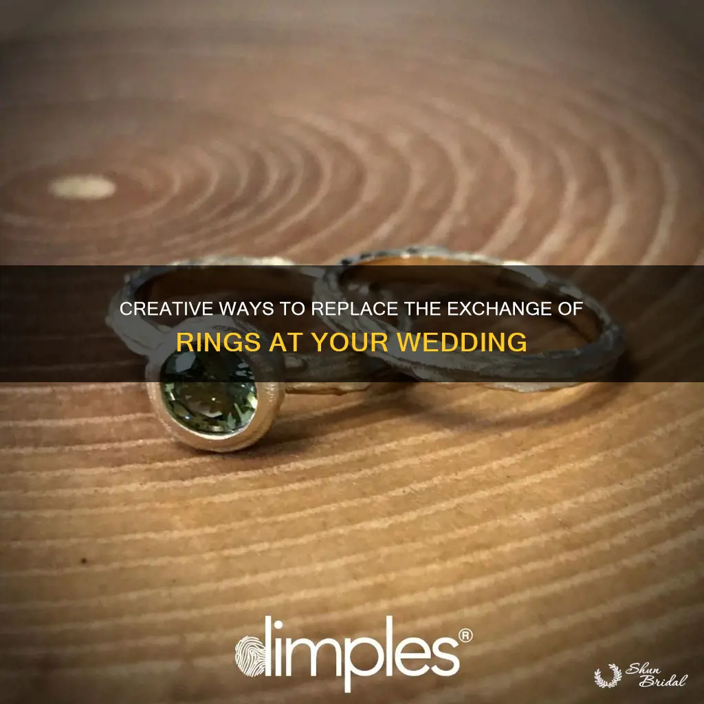 Creative Ways To Replace The Exchange Of Rings At Your Wedding | ShunBridal