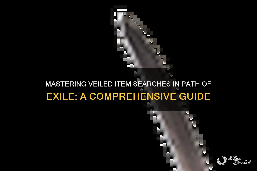 Mastering Veiled Item Searches In Path Of Exile: A Comprehensive Guide ...
