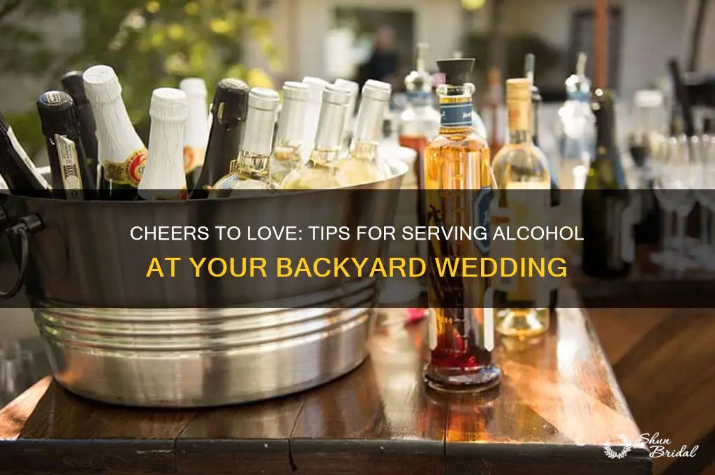 Cheers To Love: Tips For Serving Alcohol At Your Backyard Wedding ...