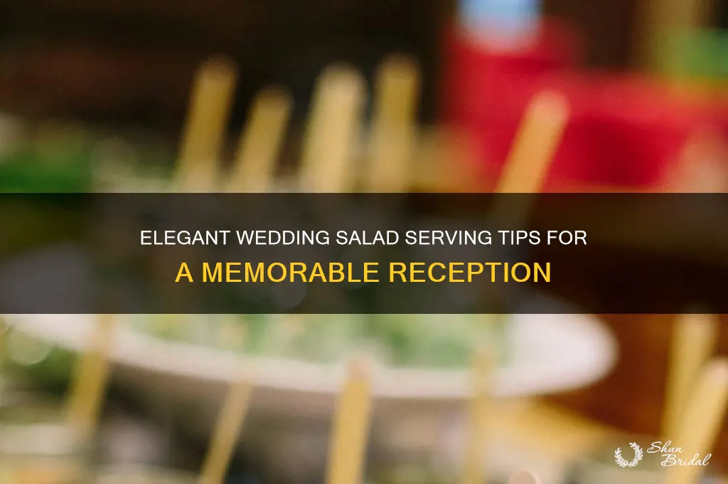 Elegant Wedding Salad Serving Tips For A Memorable Reception | ShunBridal